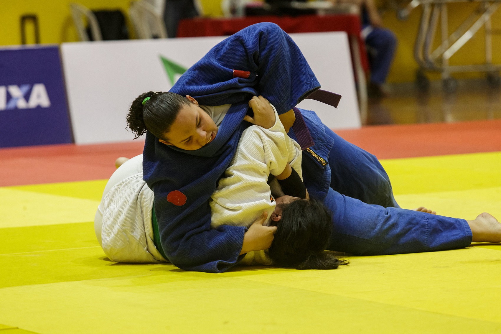 Brasil leva 11 jovens judocas para torneio e treinamento na Alemanha — CBDV